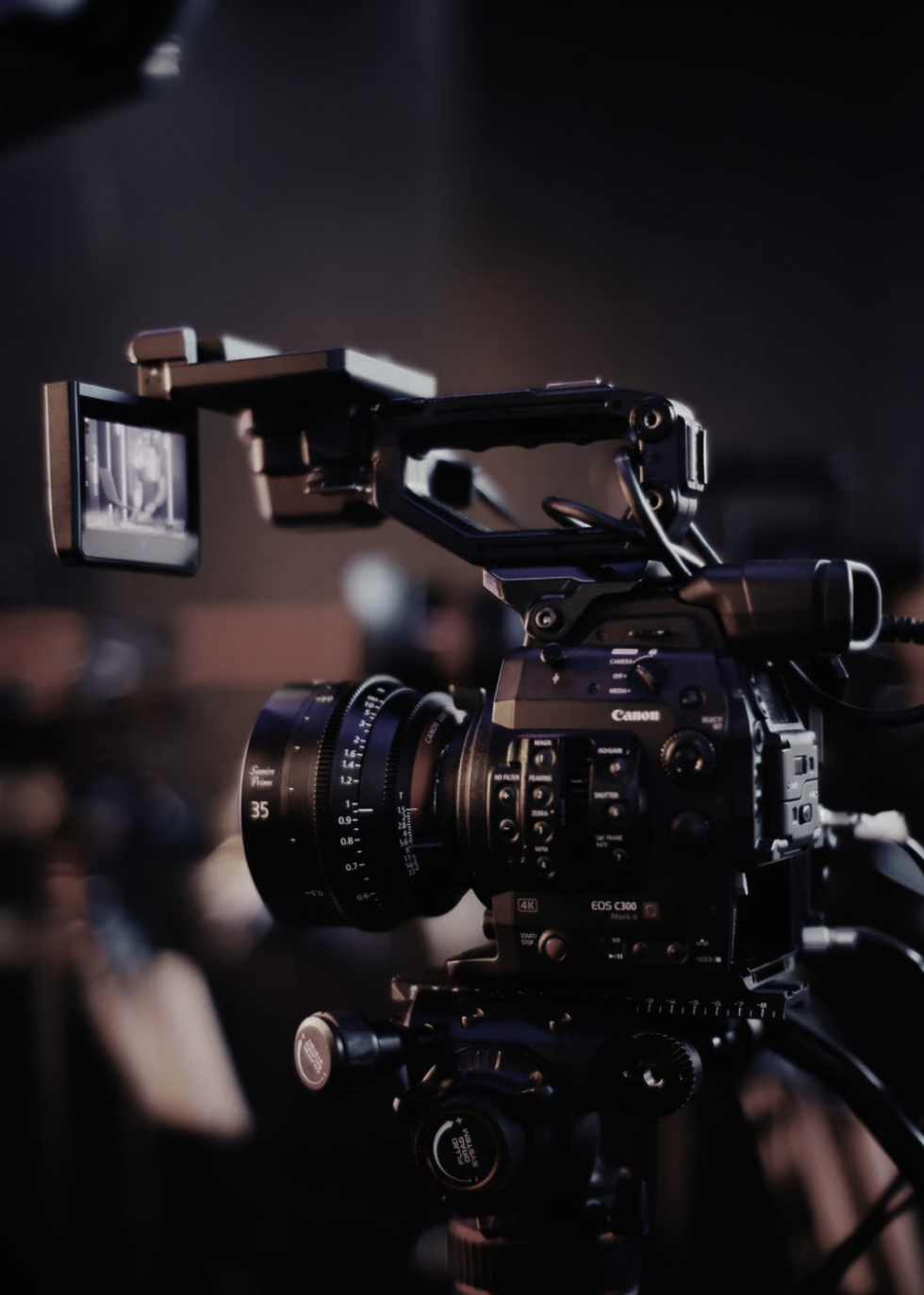 Tocha Filmes | connecting true values, connecting through values